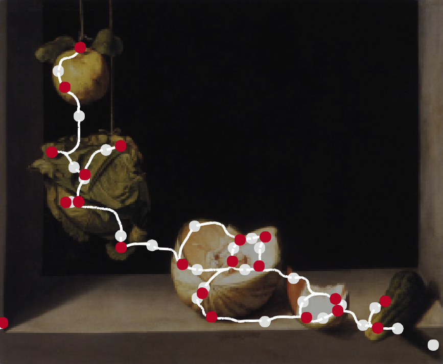 微分位相幾何学に基づくリーディングラインの視覚分析 – FujishiroLab